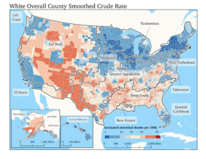 The Geography of U.S. Gun Violence – Nationhood Lab