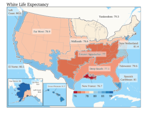 The Regional Geography of U.S. Life Expectancy – Nationhood Lab